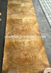 China Golden Phoebe Burl Paper Back Veneer | Paper Backing Golden Phoebe Burl Veneer Sheet supplier