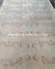 China Mappa Burl Paper Backed Veneer | Paper Backed Poplar Burl Veneer Sheets supplier
