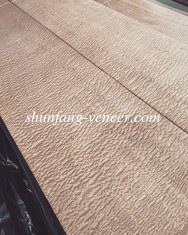 China Sapele Pommele Wood Veneer Sapeli Pommele Decorative Veneers for Fine Furniture Wooden Doors Veneered Boards supplier