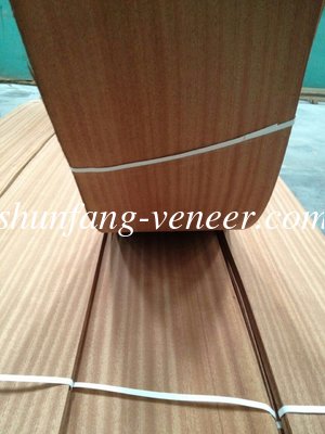 SAPELE Wood Veneer Quartered SAPELLI supplier