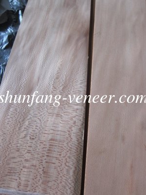 Quartered Lacewood Veneer, LACEWOOD FRANCE supplier