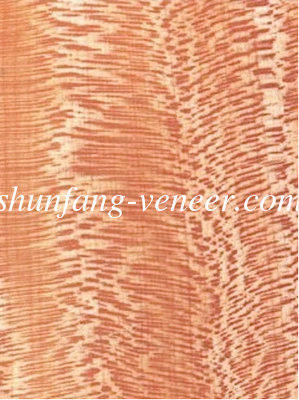 Quartered Lacewood Veneer, LACEWOOD FRANCE supplier