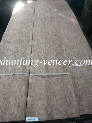 Eucalyptus Pommele Natural Wood Veneers Eucalyptus Sliced Veneer supplier