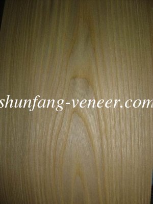 Crown Cut Chinese Elm Veneer Natural Wood Veneers supplier