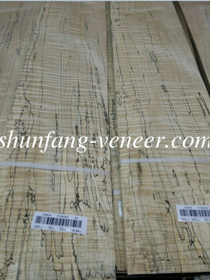 Spalted Figured Maple Veneer supplier