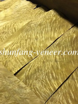 Golden Phoebe Burl in full 0.50mm thickness for fine furniture supplier