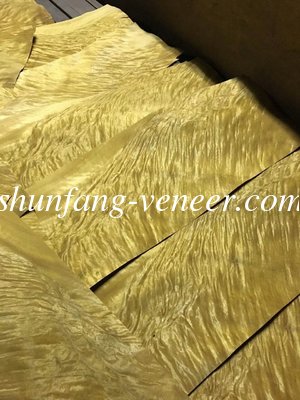 Golden Phoebe Burl in full 0.50mm thickness for fine furniture supplier