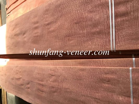 0.6mm Natural Sapeli Sapele Pommele Sliced Wood Veneer for Furniture Plywood Architectural Woodwork and Interior Decor supplier