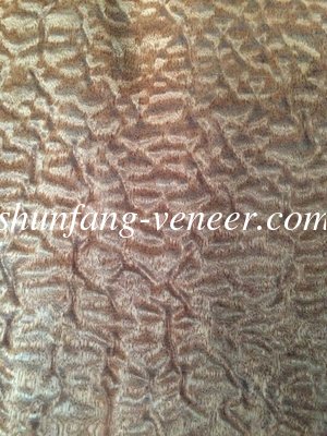 0.6mm Natural Sapeli Sapele Pommele Sliced Wood Veneer for Furniture Plywood Architectural Woodwork and Interior Decor supplier