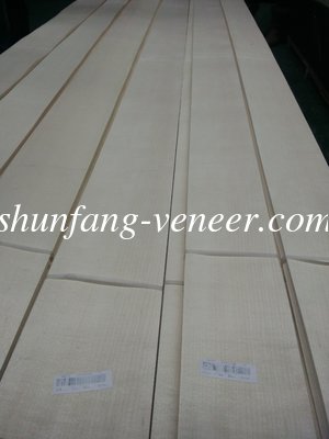 Maple Wood Veneer Sheets supplier