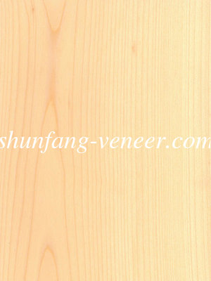 Maple Wood Veneer Sheets supplier