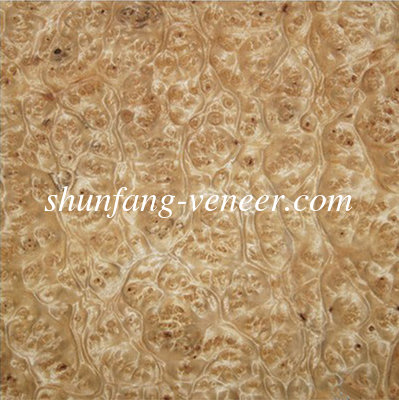 Well Sliced Exotic Wood Veneer for Furniture Door Panel Hotel Architecture Designing Decoration from shunfang-veneer-com.ecer.com supplier