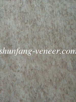 Eucalyptus Pommele Natural Wood Veneers Eucalyptus Sliced Veneer supplier