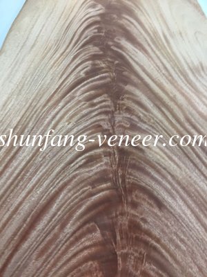 Mahogany, African Khaya Crotch Wood Veneer supplier