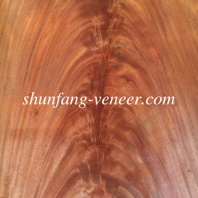 Mahogany, African Khaya Crotch Wood Veneer supplier
