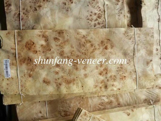 Mappa Burls Wood Veneer supplier