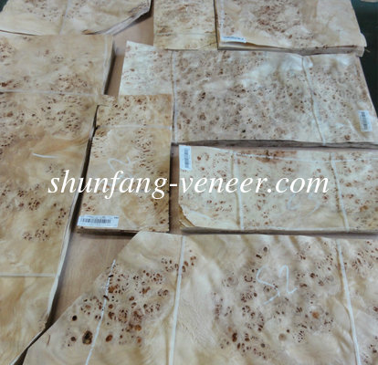Mappa Burls Wood Veneer supplier