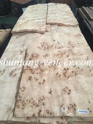 Mappa Burls Wood Veneer supplier