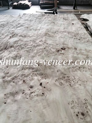 Mappa Burls Wood Veneer supplier