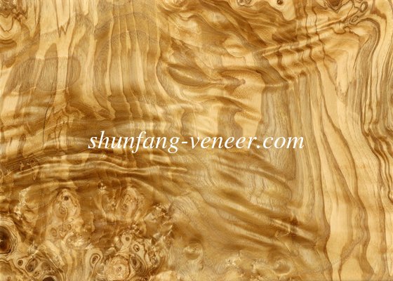 Olive Ash Burl Natural Wood Veneer for Panel Door and Furniture Industry from www.shunfang-veneer-com.ecer.com supplier