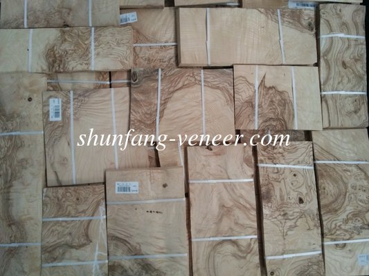 Olive Ash Burl Natural Wood Veneer for Panel Door and Furniture Industry from www.shunfang-veneer-com.ecer.com supplier