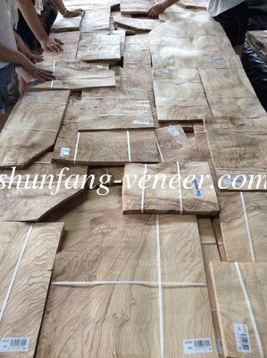 Olive Ash Burl Natural Wood Veneer for Panel Door and Furniture Industry from www.shunfang-veneer-com.ecer.com supplier