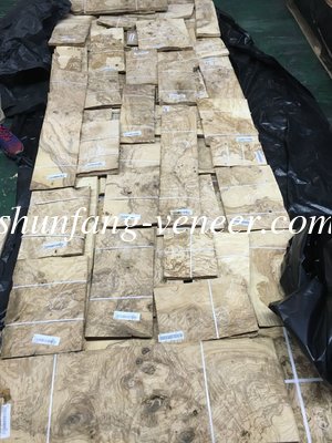 Olive Ash Burl Natural Wood Veneer for Panel Door and Furniture Industry from www.shunfang-veneer-com.ecer.com supplier