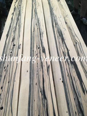 Royal White Ebony Natural Wood Veneer with Unique Creamy White Yellow Background from www.shunfang-veneer-com.ecer.com supplier