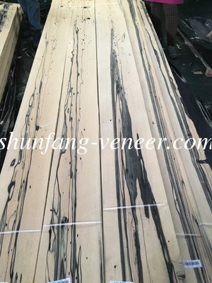 Royal White Ebony Natural Wood Veneer with Unique Creamy White Yellow Background from www.shunfang-veneer-com.ecer.com supplier