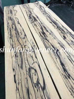 Royal White Ebony Natural Wood Veneer with Unique Creamy White Yellow Background from www.shunfang-veneer-com.ecer.com supplier