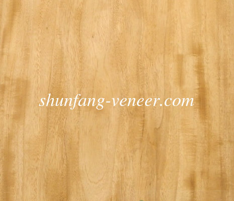 Prima Vera Natural Wood Veneer for Furniture Door Panel Furnishings Decoration from www.shunfang-veneer-com.ecer.com supplier