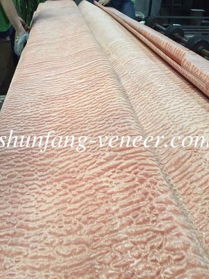 SAPELI: SAPELE POMMELE Wood Veneer China supplier