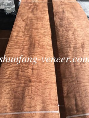 SAPELI: SAPELE POMMELE Wood Veneer China supplier
