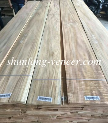 0.5mm Chinaberry Sliced Wood Veneer for Furniture Door Panel and Woodworking from shunfang-veneer-com.ecer.com supplier