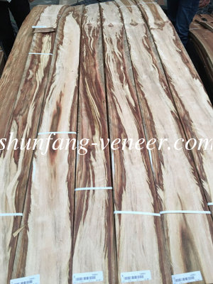 Chechen Veneer, Caribbean Rosewood Natural Wood Veneer from www.shunfang-veneer-com.ecer.com supplier