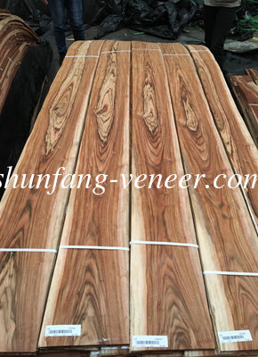 Chechen Veneer, Caribbean Rosewood Natural Wood Veneer from www.shunfang-veneer-com.ecer.com supplier