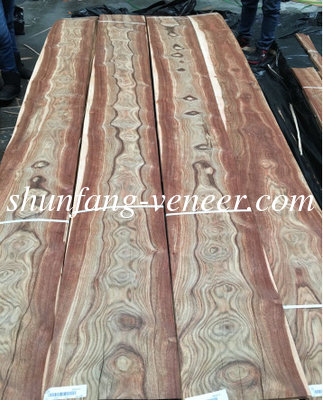 Chechen Veneer, Caribbean Rosewood Natural Wood Veneer from www.shunfang-veneer-com.ecer.com supplier