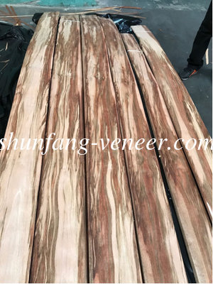 Chechen Veneer, Caribbean Rosewood Natural Wood Veneer from www.shunfang-veneer-com.ecer.com supplier