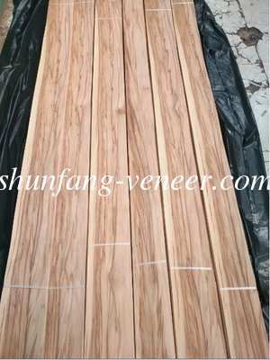 American Red Gum Veneer, Satin Walnut Natural Wood Veneers from www.shunfang-veneer-com.ecer.com supplier