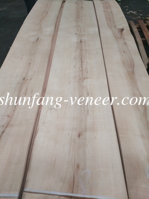 Rustic Knotty Maple Veneer with Double Colors from www.shunfang-veneer-com.ecer.com supplier