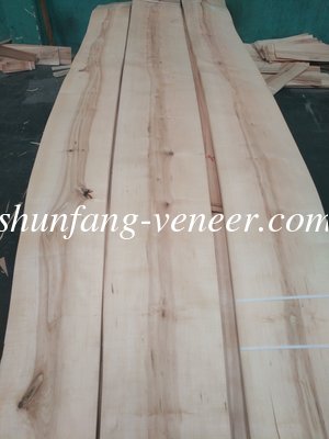 Rustic Knotty Maple Veneer with Double Colors from www.shunfang-veneer-com.ecer.com supplier
