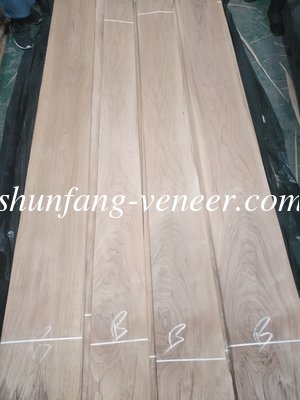 Sap Walnut (Walnut Sap) Natural Wood Veneers from www.shunfang-veneer-com.ecer.com supplier