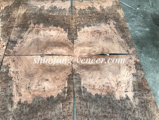 Walnut Burl Veneer Walnut Burr Veneer Exotic Walnut Burl Wood Veneer for Fine Furniture supplier