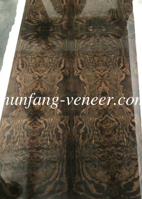 Walnut Burl Veneer Walnut Burr Veneer Exotic Walnut Burl Wood Veneer for Fine Furniture supplier
