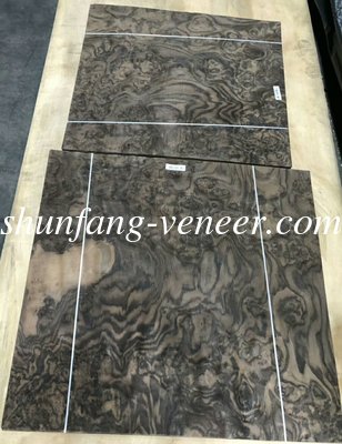 Walnut Burl Veneer Walnut Burr Veneer Exotic Walnut Burl Wood Veneer for Fine Furniture supplier