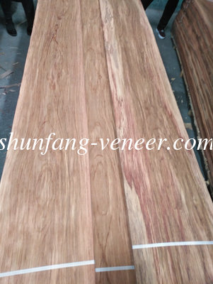 African Etimoe Exotic Wood Veneers for Furniture Doors Plywood and Interior Designing supplier