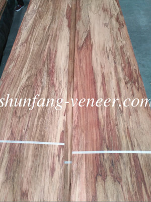 African Etimoe Exotic Wood Veneers for Furniture Doors Plywood and Interior Designing supplier