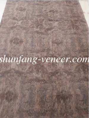 Walnut Burl Paper Backed Veneer Sheets 4' x 8', Paper Backed Walnut Burl Wood Veneer Sheets supplier