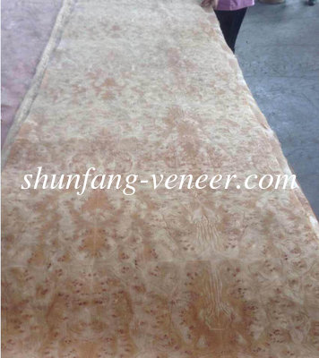 Golden Camphor Burl Paper Backed Veneer, Paper Backed Burl Veneer supplier