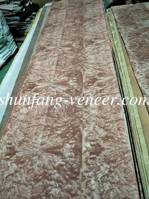 Madrone Burl Paper Backed Veneer Sheets Paper Back Madrone Burl Veneer supplier